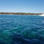 Full-Day Tour of Saona Island from Cap Cana - The Logistics: How the Day Unfolds