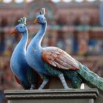 Full-Day Tour Private in Chennai (Madras) - Practical Details and What You Should Know