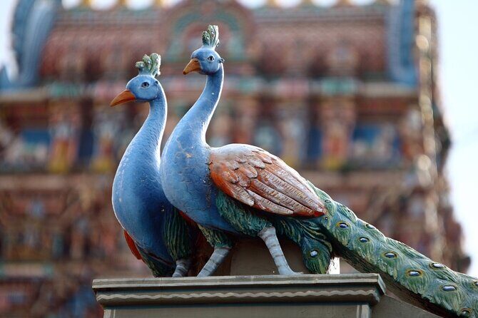 Full-Day Tour Private in Chennai (Madras) - Practical Details and What You Should Know