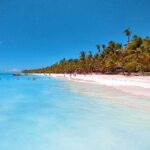 Full Day Tour Saona Island by speedboat from Punta Cana - Final Thoughts: Is It Worth It?