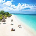 Full Day Tour to Rick's Cafe and Negril Beach - What Makes This Tour Stand Out?