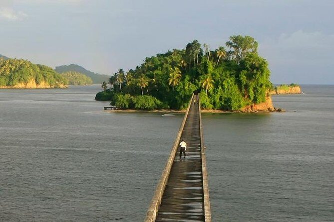 Full day tour to samana bay from punta cana - An In-Depth Look at the Itinerary