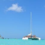 Full Day Tour to Saona Island by Catamaran from Cabeza de toro - What Travelers Say