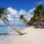 Full Day Tour to Saona Island from Samana - Authenticity and Value