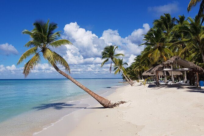 Full-Day Tour to Saona Island from Uvero Alto with Lunch - Stop at the Natural Pool: A Unique Geological Feature
