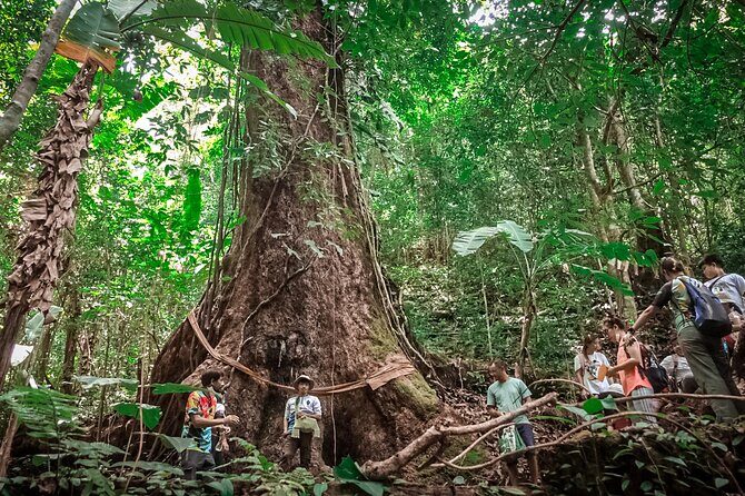 Full-Day Trekking and Sightseeing Tour in Mae Kampong - Authenticity and Traveler Feedback