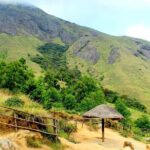Full Day Trekking Tour In Munnar With Refreshments - What’s Included and What’s Not