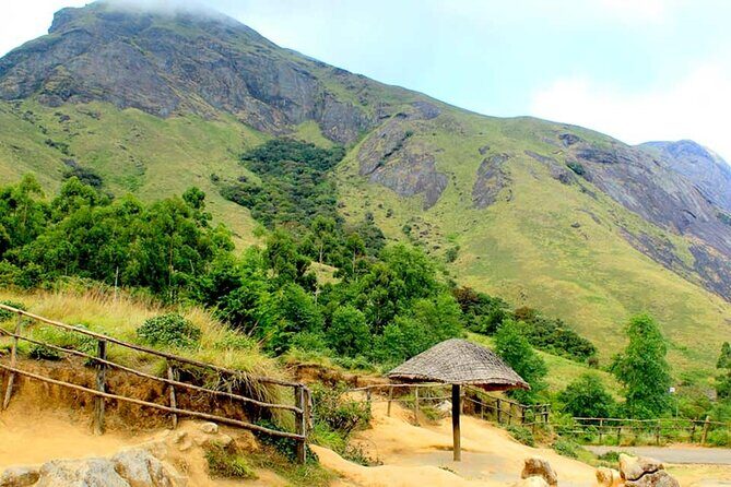 Full Day Trekking Tour In Munnar With Refreshments - What’s Included and What’s Not