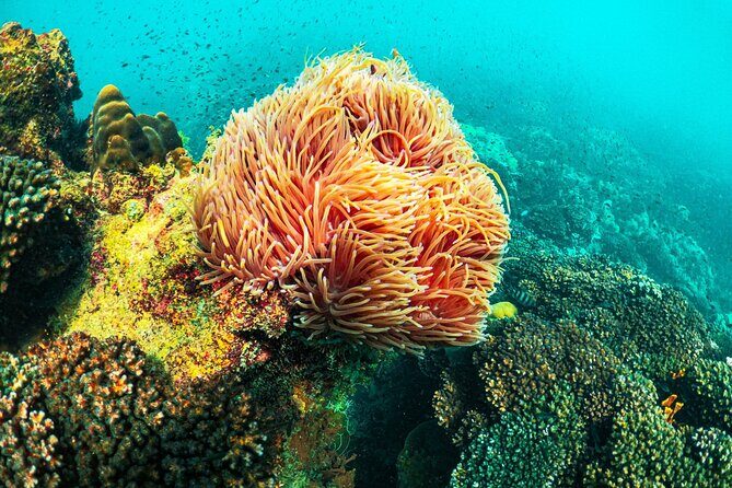 Full Day Trip Phu Quoc Snorkeling 3 Islands by Boat - What’s Included and What’s Not