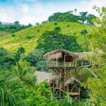 Full-Day Triple Adventure Guided Tour To Bayahibe - What’s Included and What’s Not