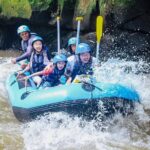 Full day Ubud Tour Bali Rafting, Monkey Forest and Rice Terrace - Authentic Experiences and Insights from Reviews