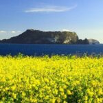 Full-Day Visiting Jeju Island Private Tour with Lunch in jeju - Practical Insights