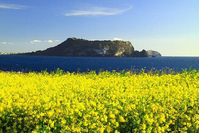 Full-Day Visiting Jeju Island Private Tour with Lunch in jeju - Practical Insights