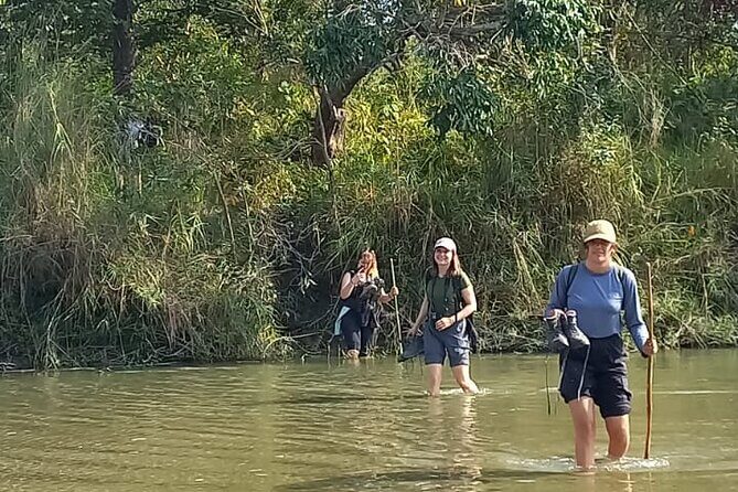 Full Day walking safari at Bardia National Park With LUNCH &GUIDE - Exploring Bardia National Park on Foot