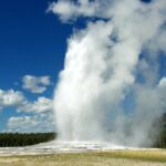 Full Day Yellowstone Lower Loop and Safari from Jackson Hole - Potential Drawbacks