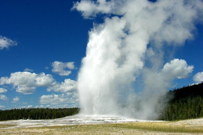 Full Day Yellowstone Lower Loop and Safari from Jackson Hole - Potential Drawbacks