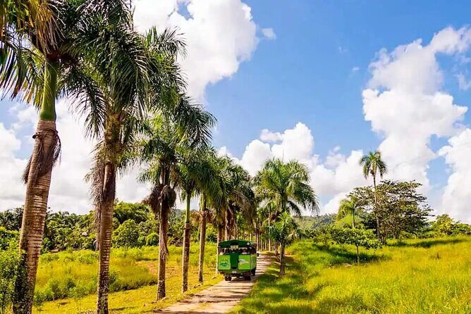 Full Dominican Adventure: Zipline, ATV Buggie, Horseback & Safari - Who Would Love This Tour?