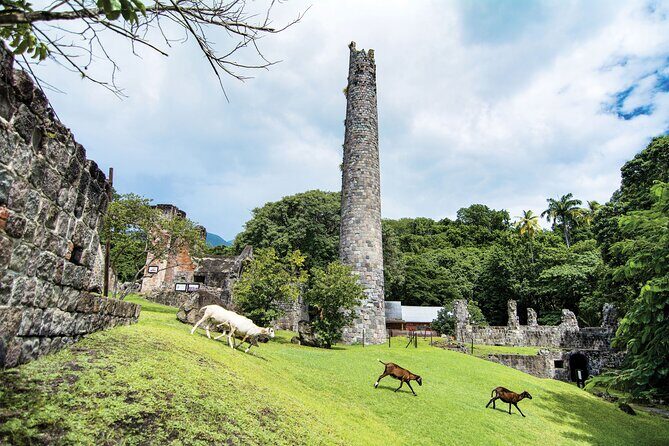 Full Island Private Tour - The Sum Up: Is it Worth It?