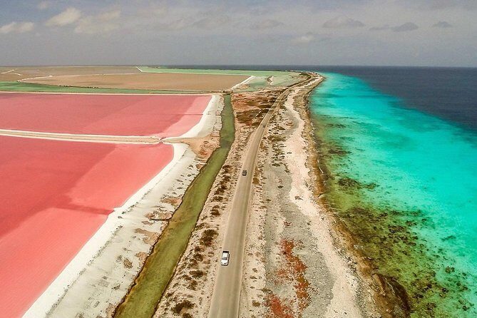 Fully Private North and South Tour with a Local Guide. - Transportation and Comfort