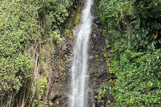 Fun and Exhilarating Experience at Dark View Falls - Detailed Review of the Tour