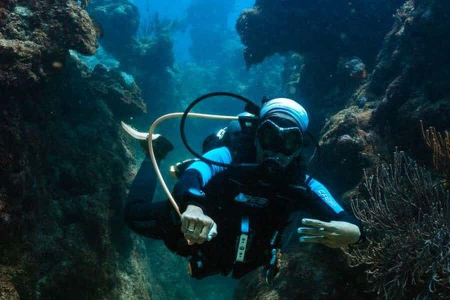 Fun Dive in Cozumel Dive Machine Experience - The Dive Experience: What to Expect