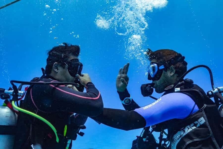 Fun Dive in Playa del Carmen  Dive Machine Experience - Who Will Love This Tour?