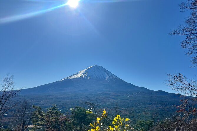 Fun Trail in Tokyo - Who Will Love This Tour?