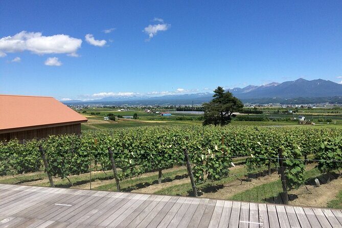 Furano, Biei & Blue Pond Full-day Private Tour (Up to 9~21 pax) - Who Is This Tour Best For?