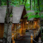 Furano Private Customizable Full Day Tour - Exploring Furano with a Private, Custom-Tailored Approach