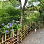 Fushimi Inari Deep Adventure: Hidden Trails & Shrine Ritual - The Spirit of Inari and Its Fox Deities