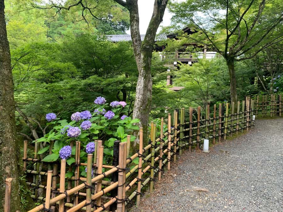 Fushimi Inari Deep Adventure: Hidden Trails & Shrine Ritual - The Spirit of Inari and Its Fox Deities