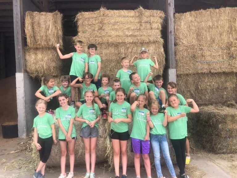 Galena Area: Berning Acres Family Dairy Farm Tour - What to Expect: A Step-by-Step Look at the Tour