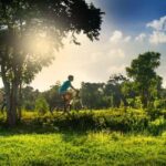 Galle: Countryside E-Bike Tour with Hotel Pickup - Detailed Itinerary Breakdown