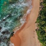 Galle Day Tour with Train Ride from Colombo or Negombo - What Past Travelers Are Saying