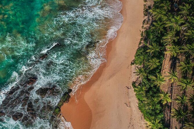 Galle Day Tour with Train Ride from Colombo or Negombo - What Past Travelers Are Saying