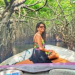 Galle Fort & Bentota Day Trip from Colombo - Authentic Experiences and Practical Tips