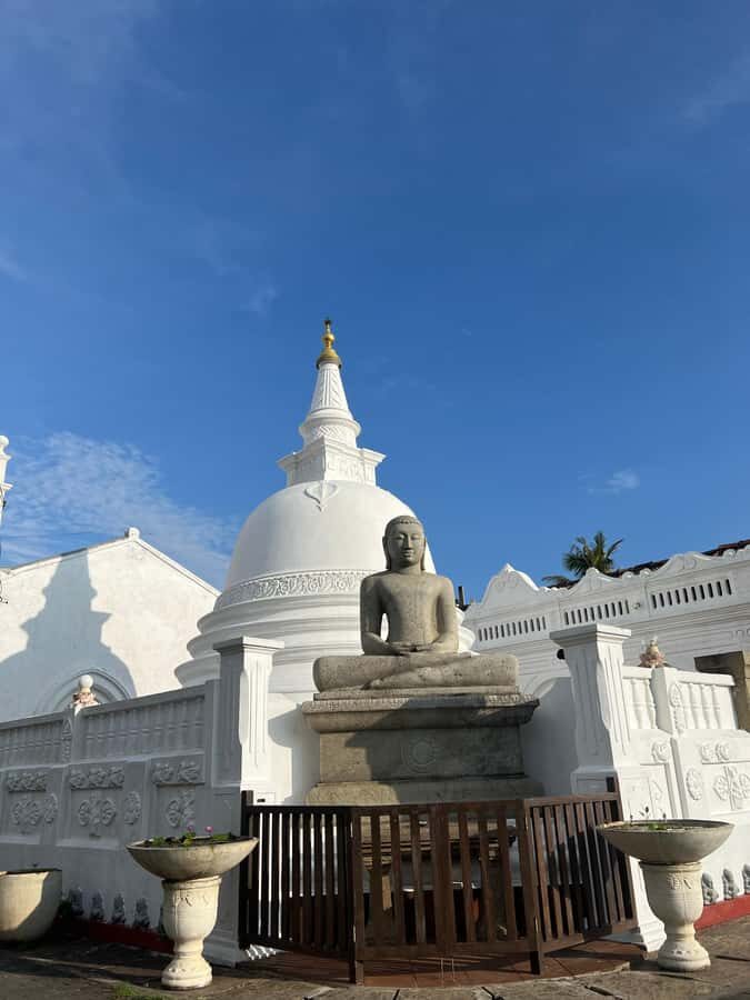 Galle: Galle Fort Walking Tour with Expert Female Guide - A Deep Look at the Tour Experience