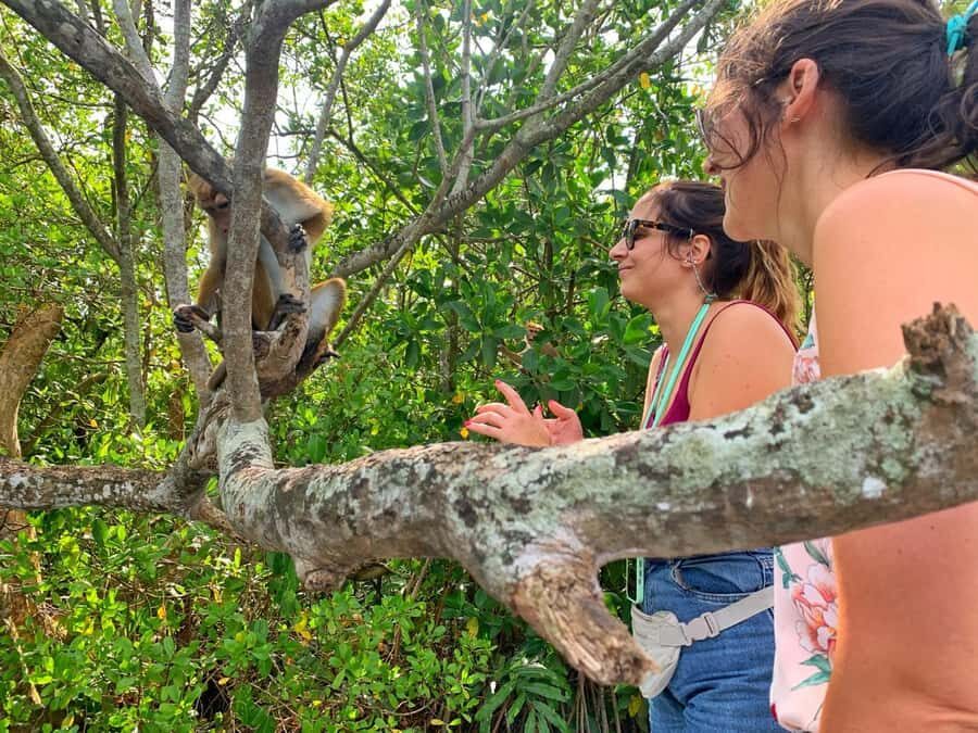 Galle: Koggala Lake Boat Safari with Monkeys Birds & Nature - Who Will Love This Tour?