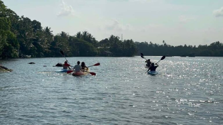 Galle/Mirissa: Koggala Lake Boat Safari and Kayaking Tour - Who Will Love This Tour?