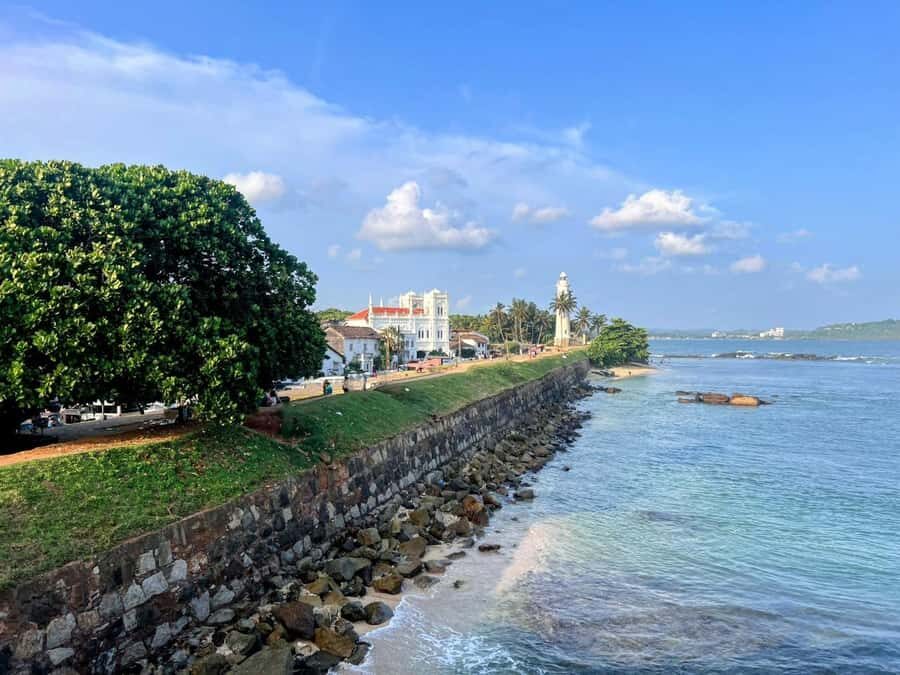Galle Private Day Tour - River Safari, Turtle Hatchery - Practicalities and Value
