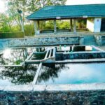 Galle: Udawalawa National Park Safari & Hot Springs Tour - What Makes This Tour Stand Out?