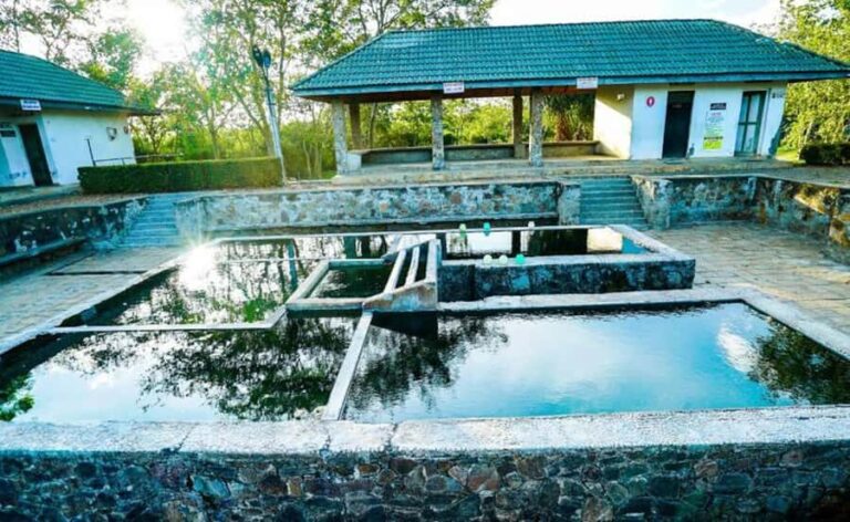 Galle: Udawalawa National Park Safari & Hot Springs Tour - What Makes This Tour Stand Out?