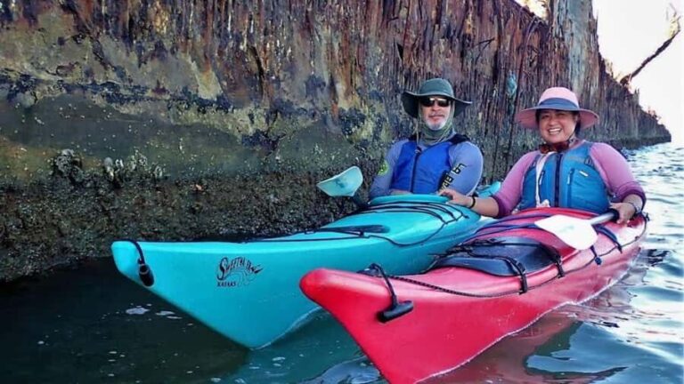Galveston: Sea Kayaking Tour with Harbor Views - Practical Details and What to Bring