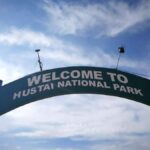 Gandan monastery and Hustai National park-all inclusive tour - A Close Look at the Itinerary