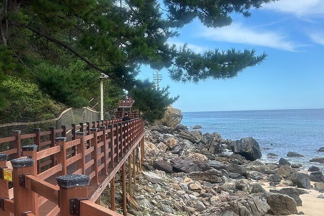 Gangneung Day Tour from Seoul: Haslla art-world & Seaside trail - Authenticity and Review Highlights