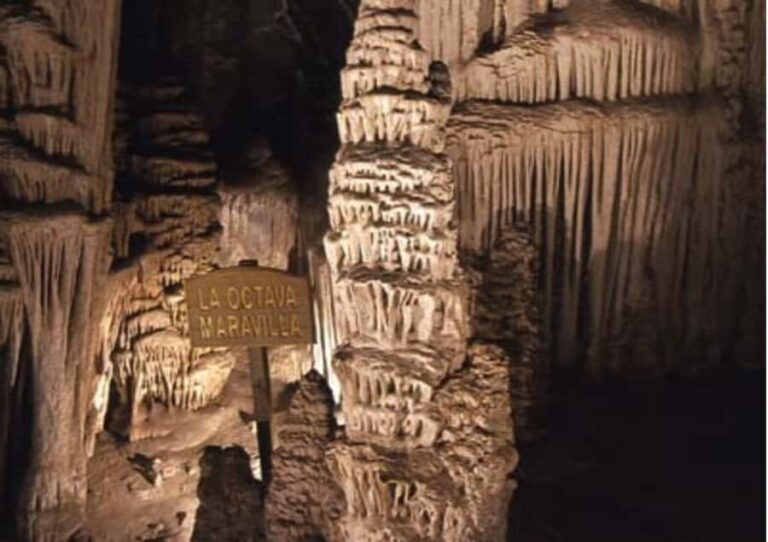 Garcia Caves Day Tour from Monterrey - Value and Practical Considerations