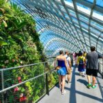 Garden By the Bay Singapore Admission Ticket - Discovering Gardens by the Bay: A Detailed Look