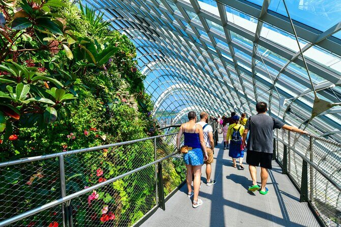 Garden By the Bay Singapore Admission Ticket - Discovering Gardens by the Bay: A Detailed Look