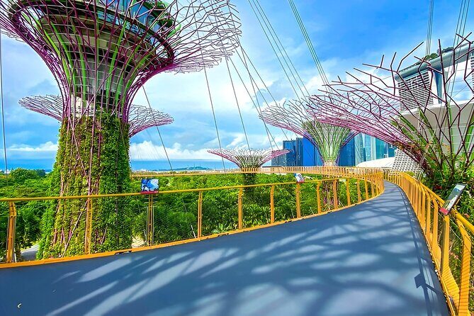 Garden by the Bay Ticket Only Optional Skypark Observation Deck - The Itinerary in Detail