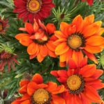 Garden Paths and Architectural Gems - What We Loved About This Tour